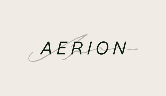 Aerion: quietly redefining air cargo with expertise - CargoForwarder Global
